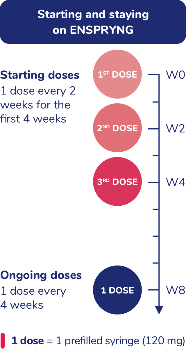 Treatment Schedule | ENSPRYNG® (satralizumab)
