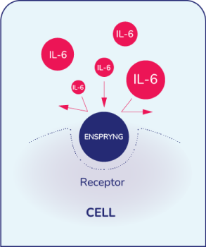 What is ENSPRYNG? | ENSPRYNG® (satralizumab)